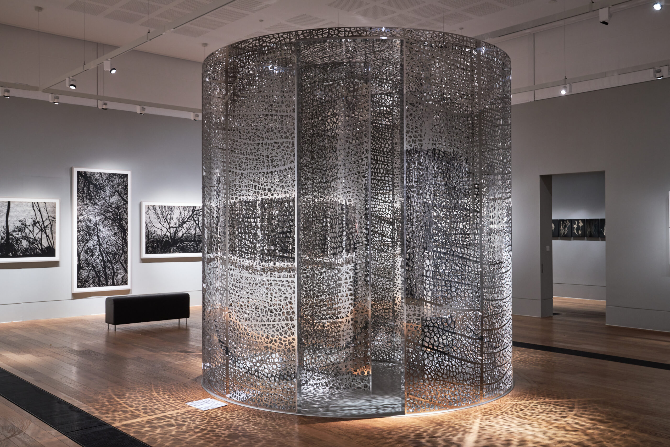 Mirror Pavilion III, Homage to Joseph Banks and Daniel Solander – Jan ...